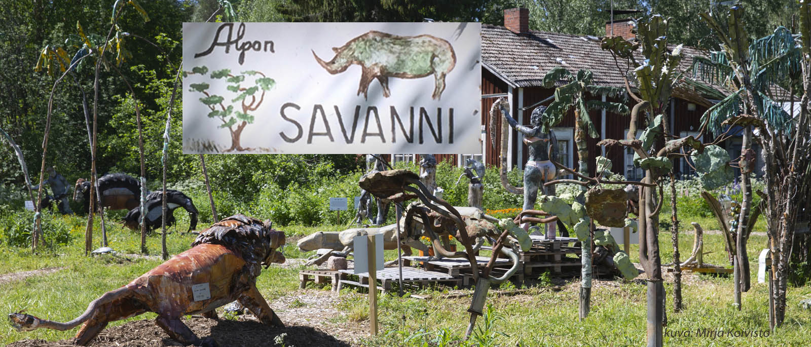 Alpon savanni | Veistospuisto lakeuksilla