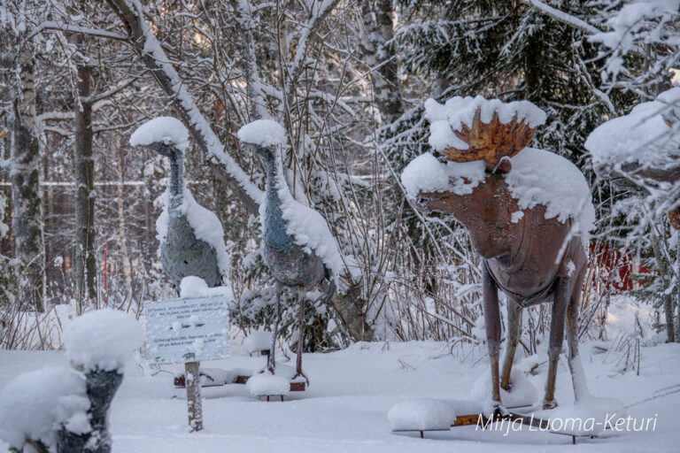 Alpon savannin eläimet ovat talviunilla | Alpon savanni