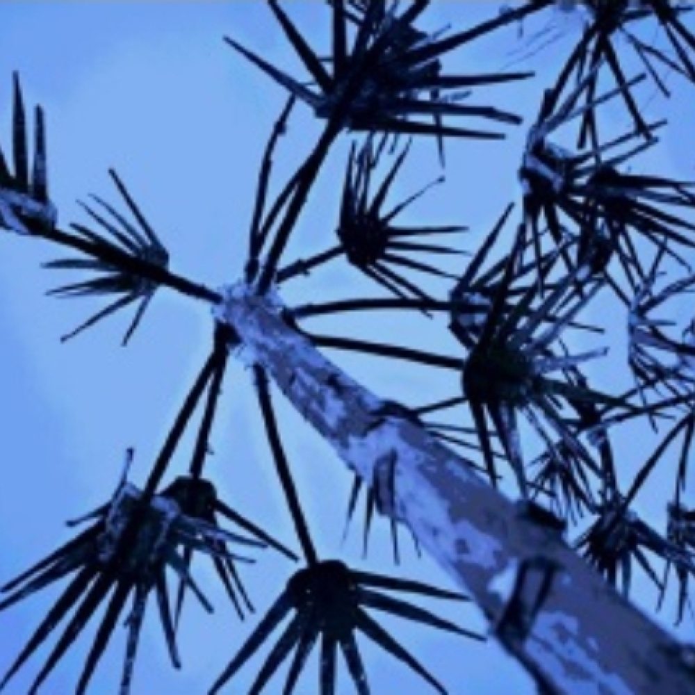 Alpon savanni | Veistospuisto lakeuksilla / Taidetta romusta