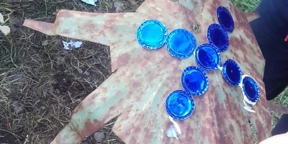 2023 | Alpon savanni